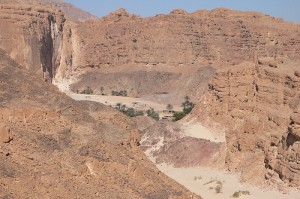 L’oasi di Ein Khudra a Sharm el Sheikh, in Egitto - YallaYalla Magazine